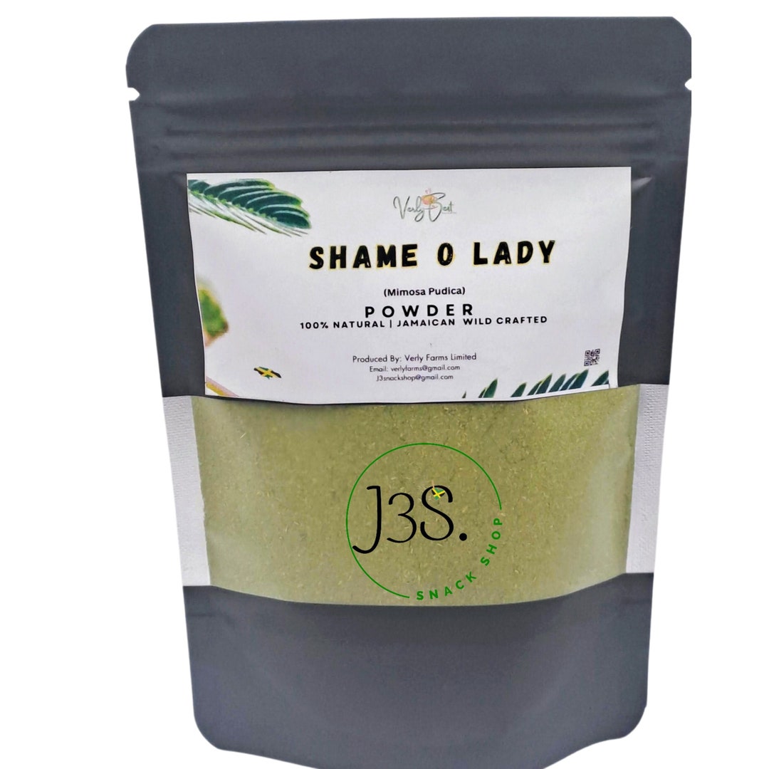Jamaican Shame O Lady Powder Sensitive Plant shama-makka Mimosa Pudica ...