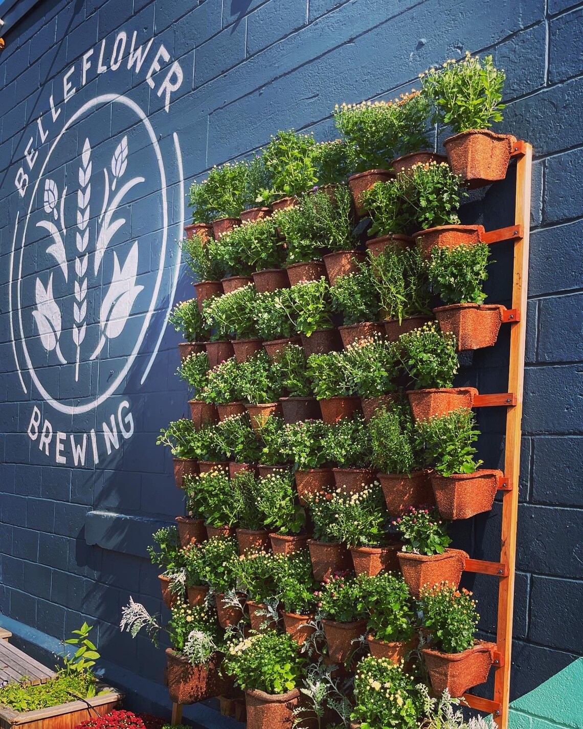 Fluma Modular Reclaimed Green Wall - Vertical Garden System - Etsy