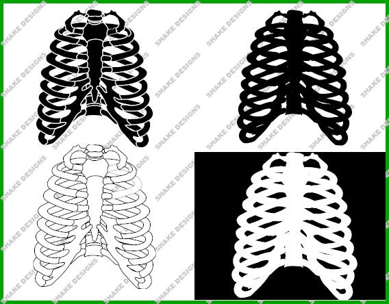 Skeleton Rib Cage SVG Ribcage Svg File Skeleton Svg Skeleton Hips Svg ...