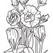 Floral Coloring 4x6 Cards - Etsy