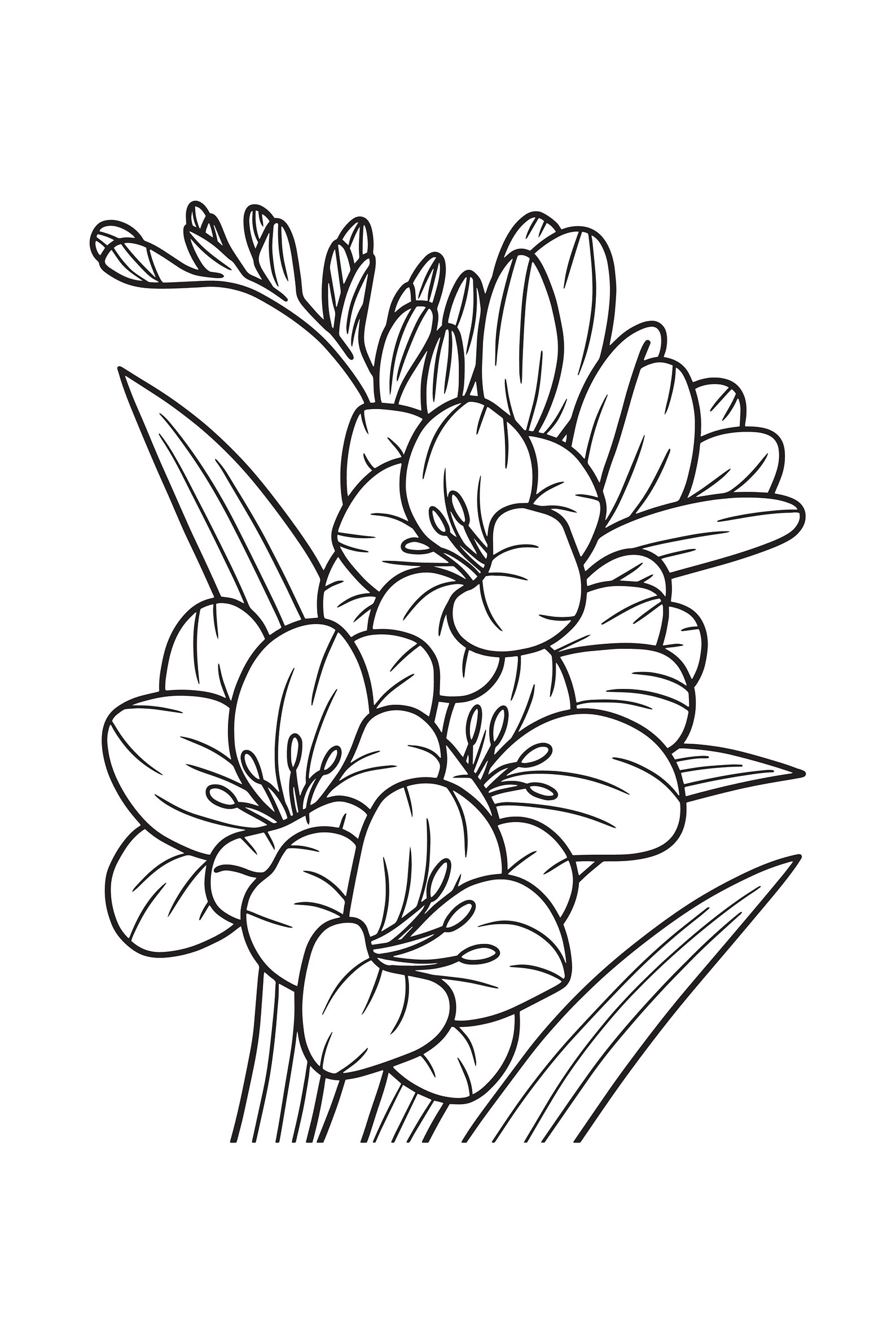Floral Coloring 4x6 Cards - Etsy