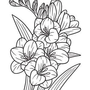 Floral Coloring 4x6 Cards - Etsy