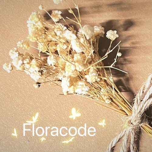 Floracode - Etsy