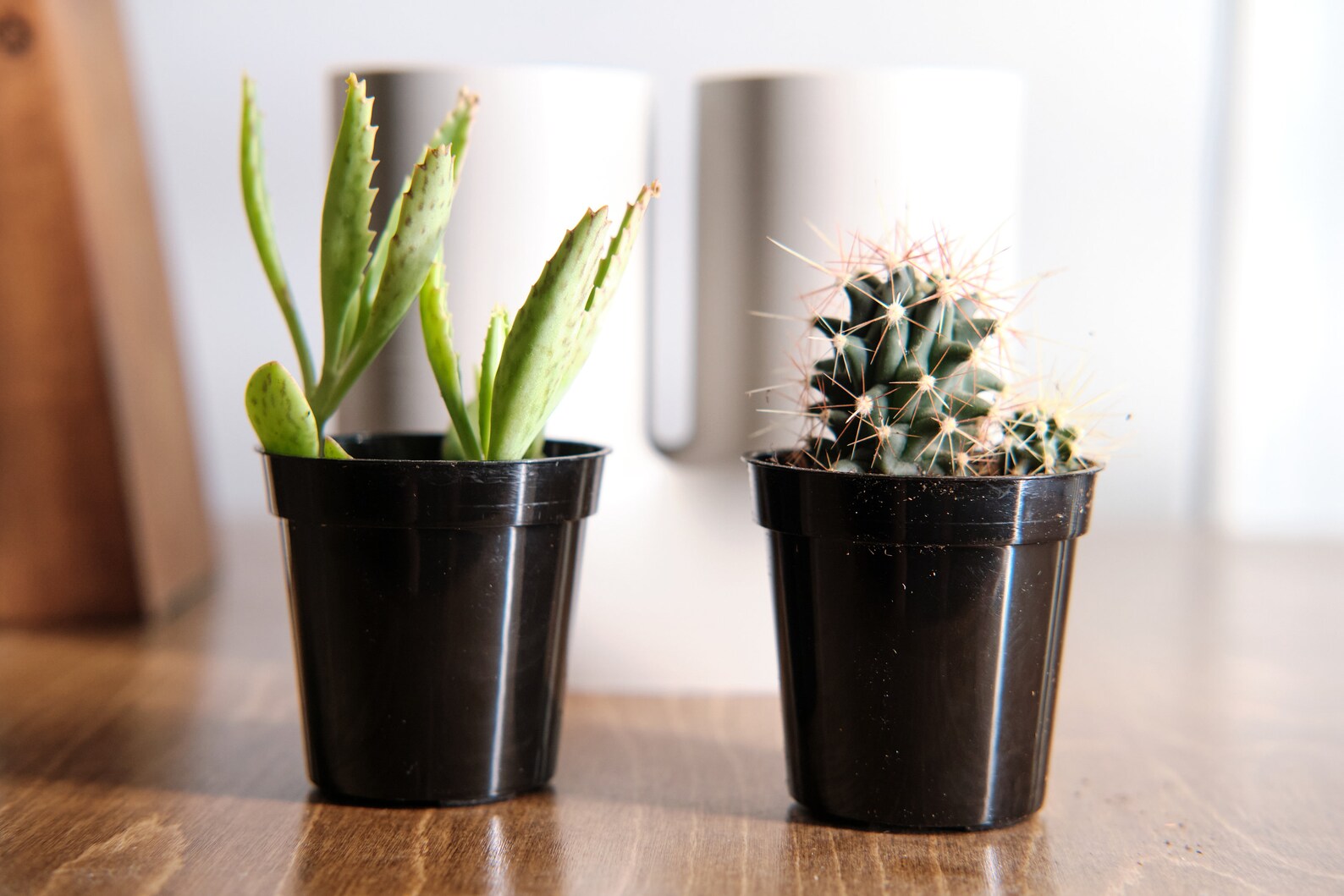 Minimalist U Shaped Planter - Etsy