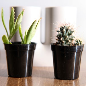 Minimalist Ribbed U Shaped Planter - Etsy