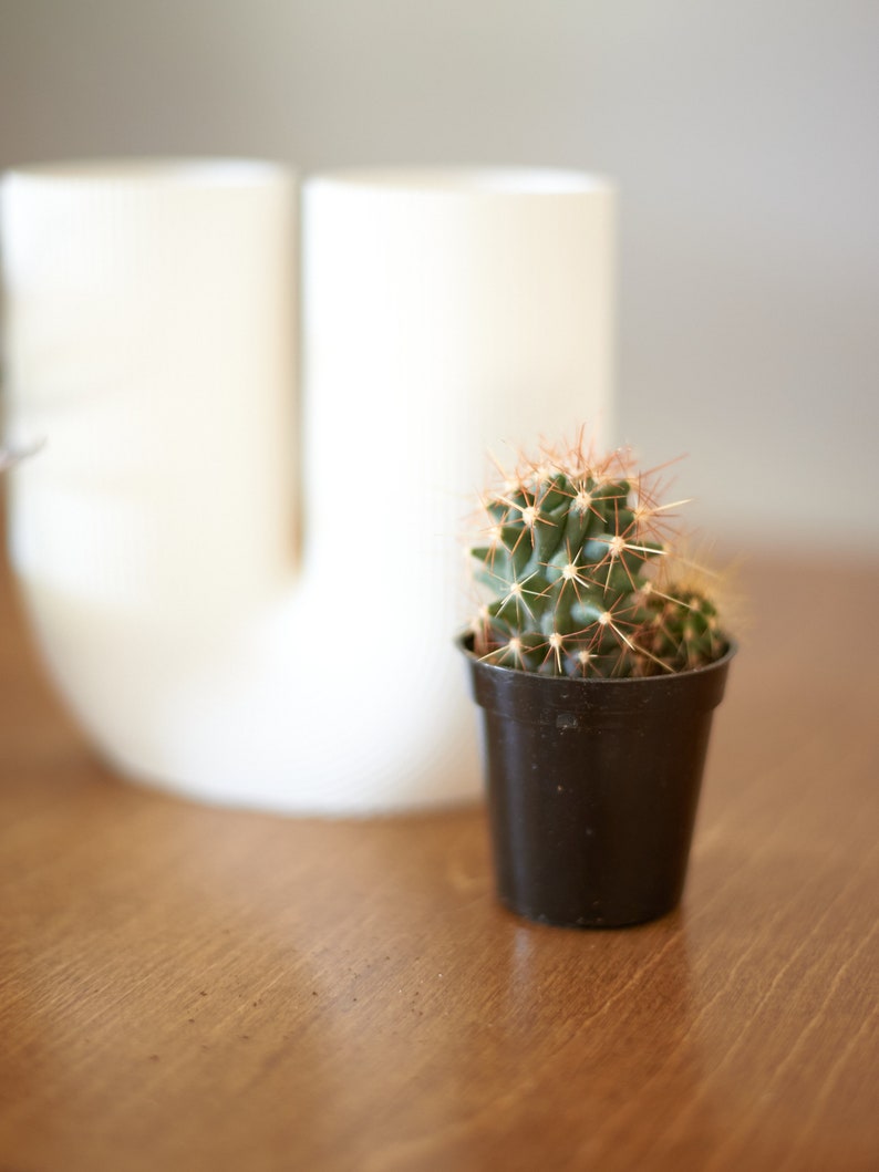 Minimalist Ribbed U Shaped Planter - Etsy