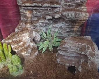 Custom Terrarium Background - Etsy