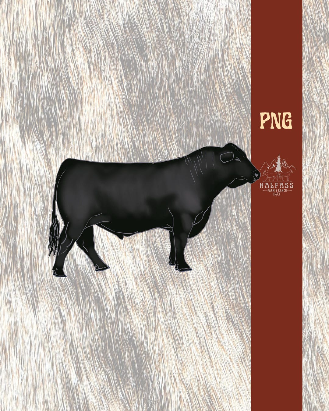 Black Angus Steer Png Angus Bull Png Cattle Ranch Western Png Cow Lover ...