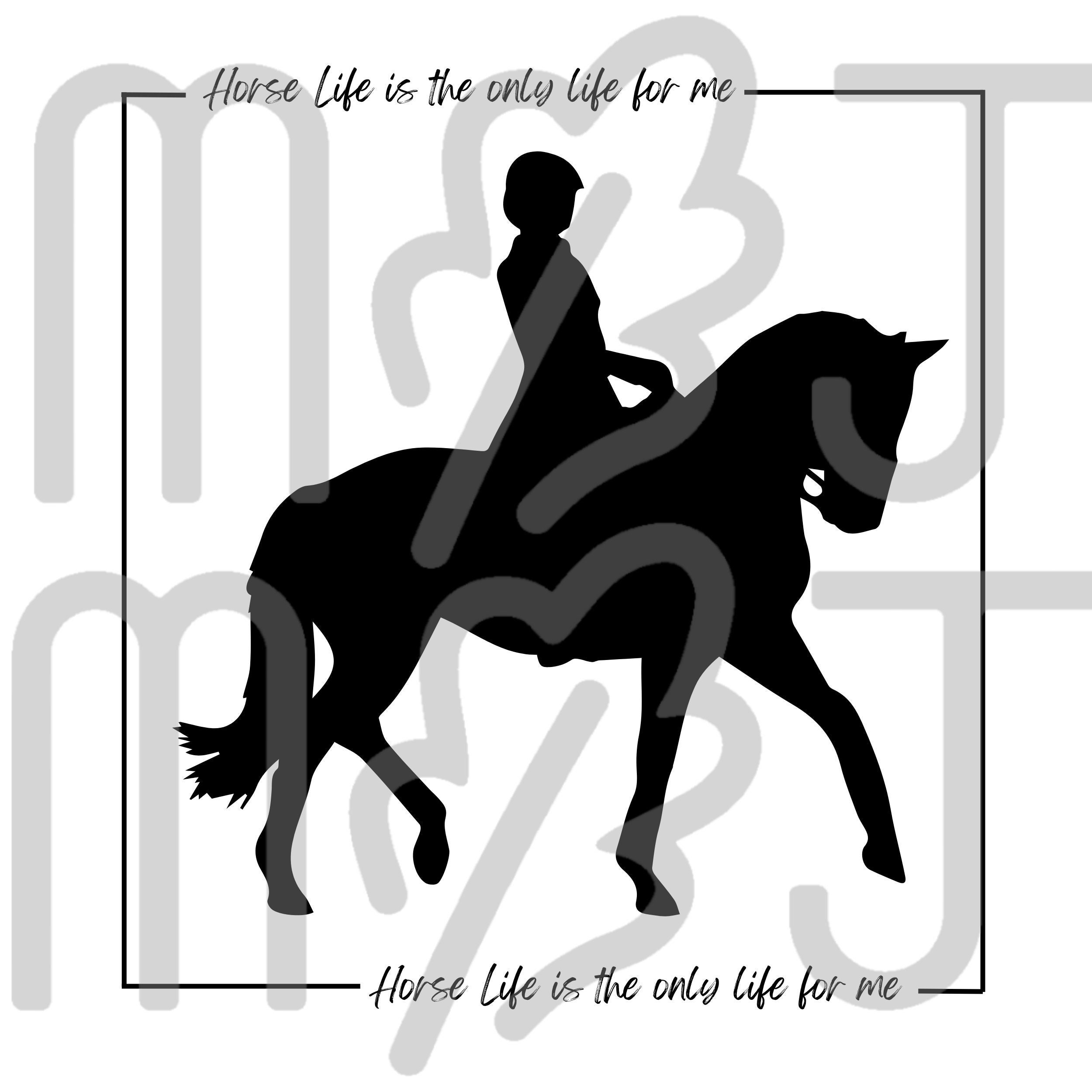 Caballo vida png svg clipart doma png svg diseño de caballo - Etsy México