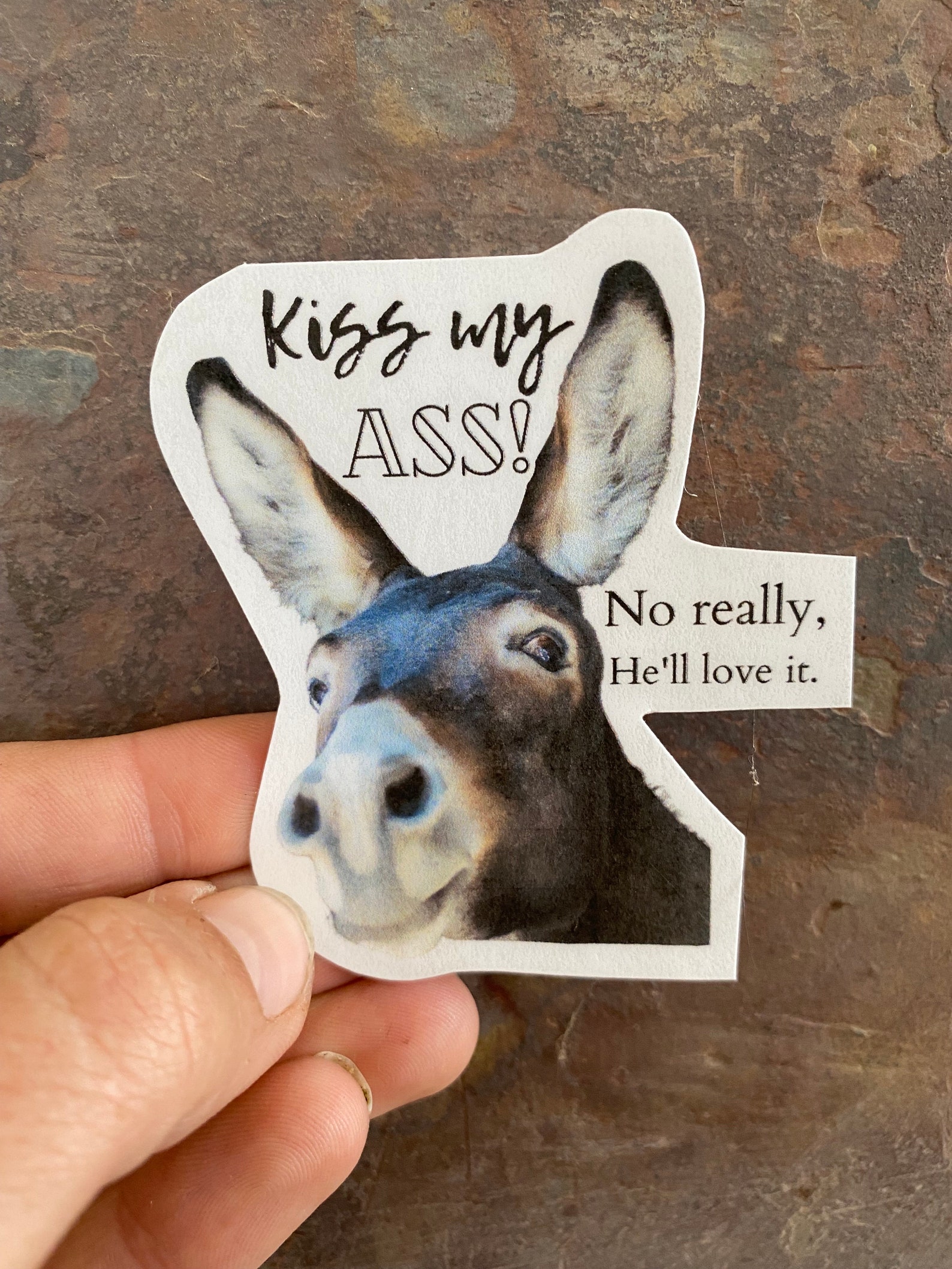 Funny Donkey Sticker Vinyl Donkey Sticker Cute Farm Animal Sticker Cute ...