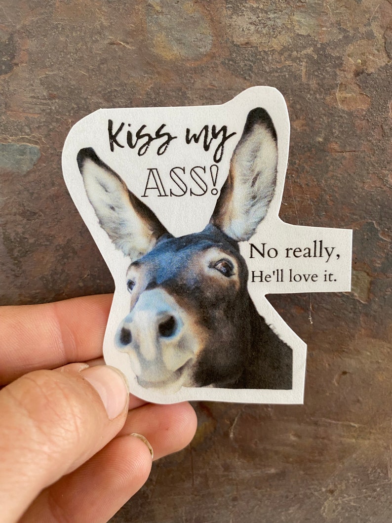 Funny Donkey Sticker Vinyl Donkey Sticker Cute Farm Animal Sticker Cute ...