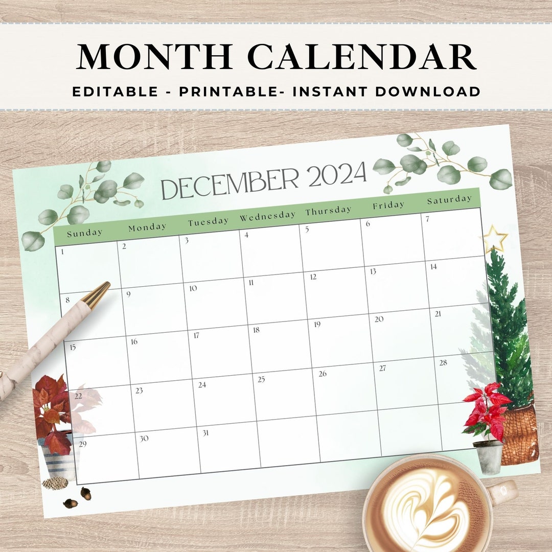 Editable December 2024 Calendar, Digital Monthly Calendar, Printable ...