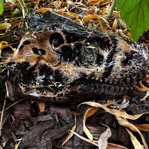 Awesome Jasper T-rex Skull, With the Coolest Patterns - Etsy