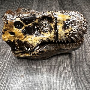 Awesome Jasper T-rex Skull, With the Coolest Patterns - Etsy
