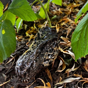 Awesome Jasper T-rex Skull, With the Coolest Patterns! - Etsy
