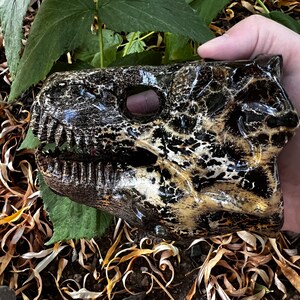 Awesome Jasper T-rex Skull, With the Coolest Patterns! - Etsy