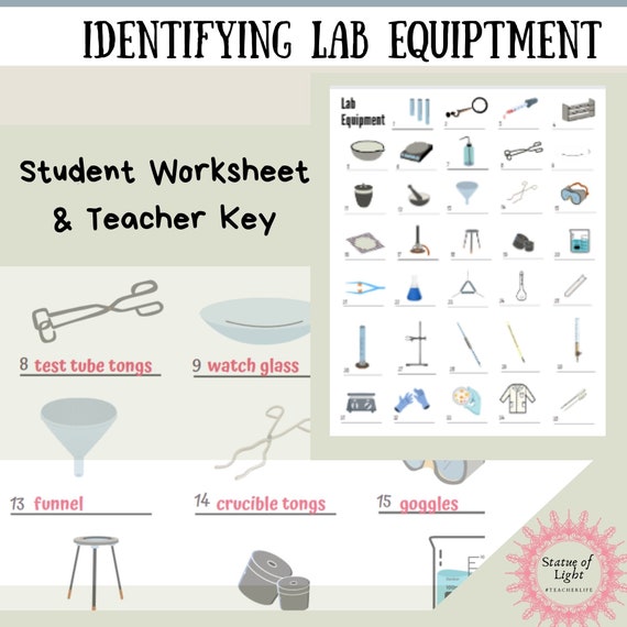 Science Lab Tools Worksheets