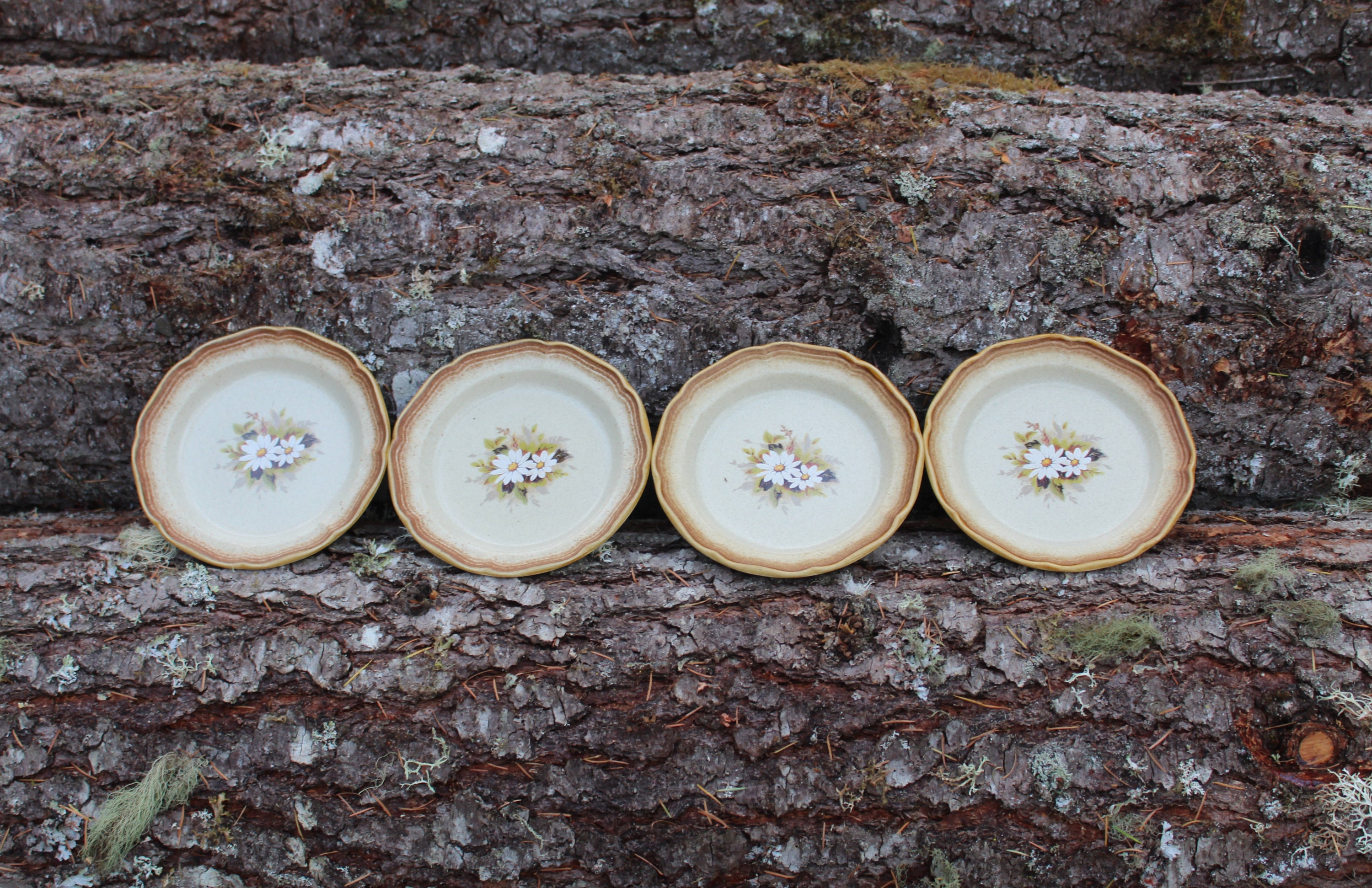 Vintage Mikasa Whole Wheat Loves Me Daisy Pattern Salad Plates - Etsy