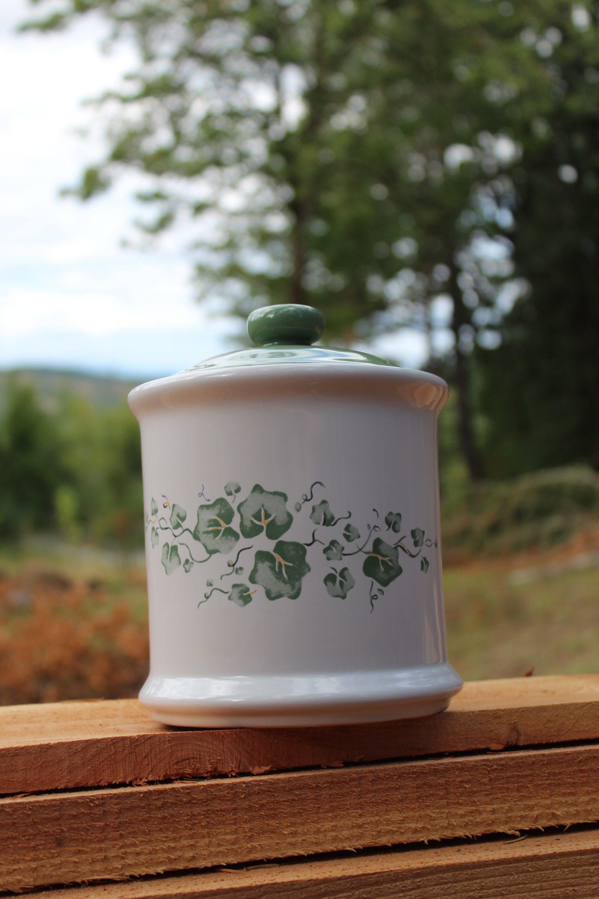 Corelle, Ivy Pattern, Vintage, 7x 5.5 Air Tight Lidded Ceramic Storage ...