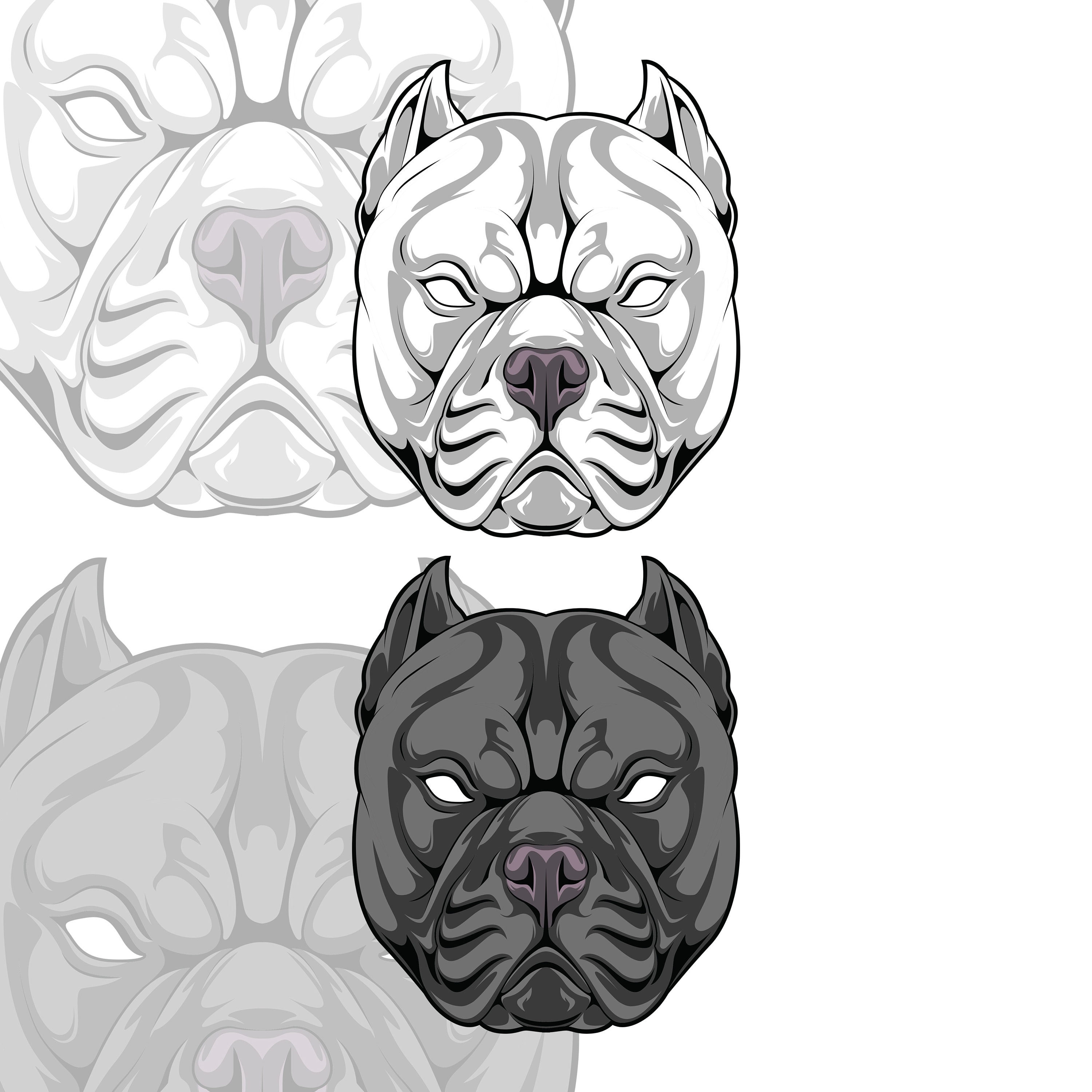 American Bully Head Drawings