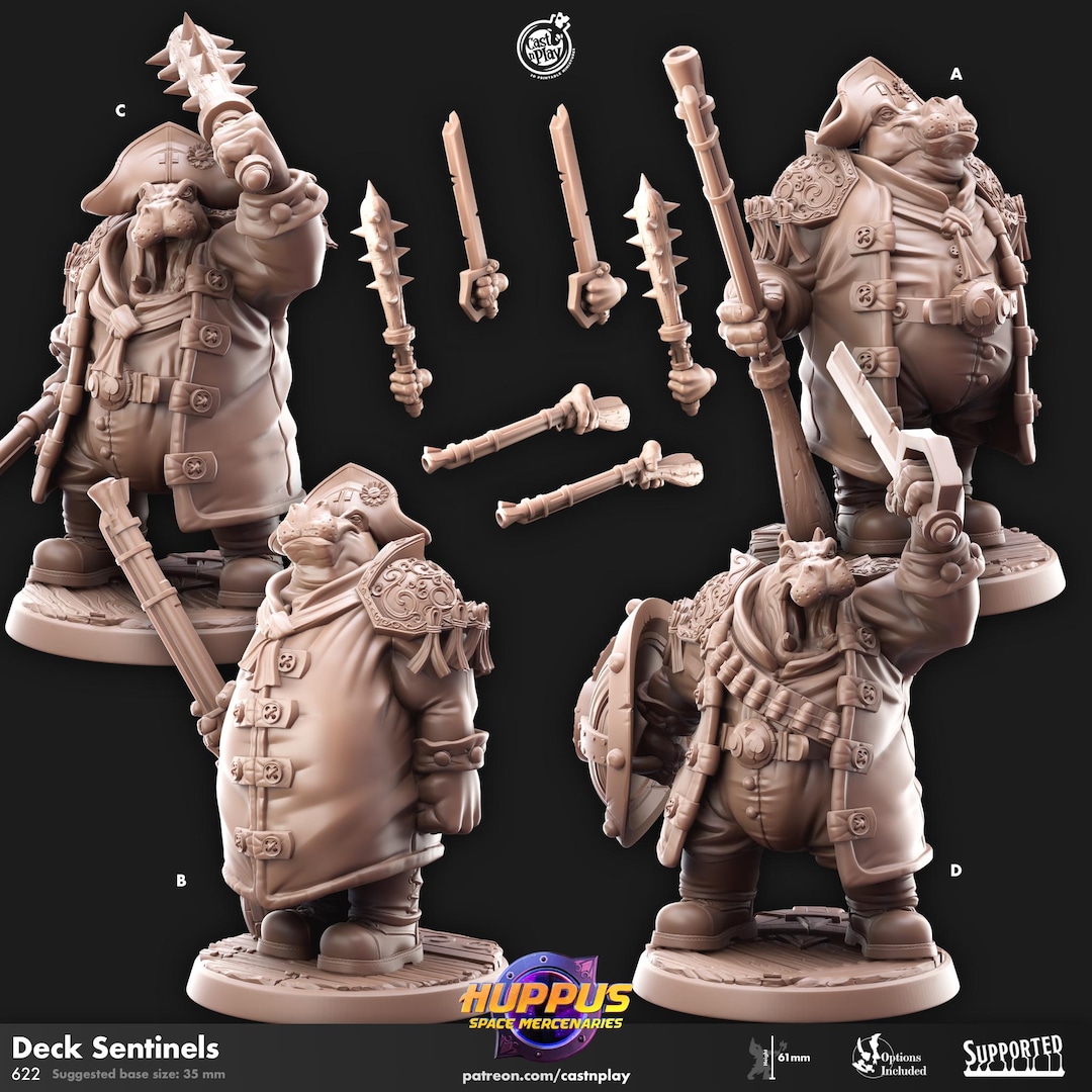Huppus Space Merceneries Miniature Giff Hippo Pirate Paladin Fighter ...