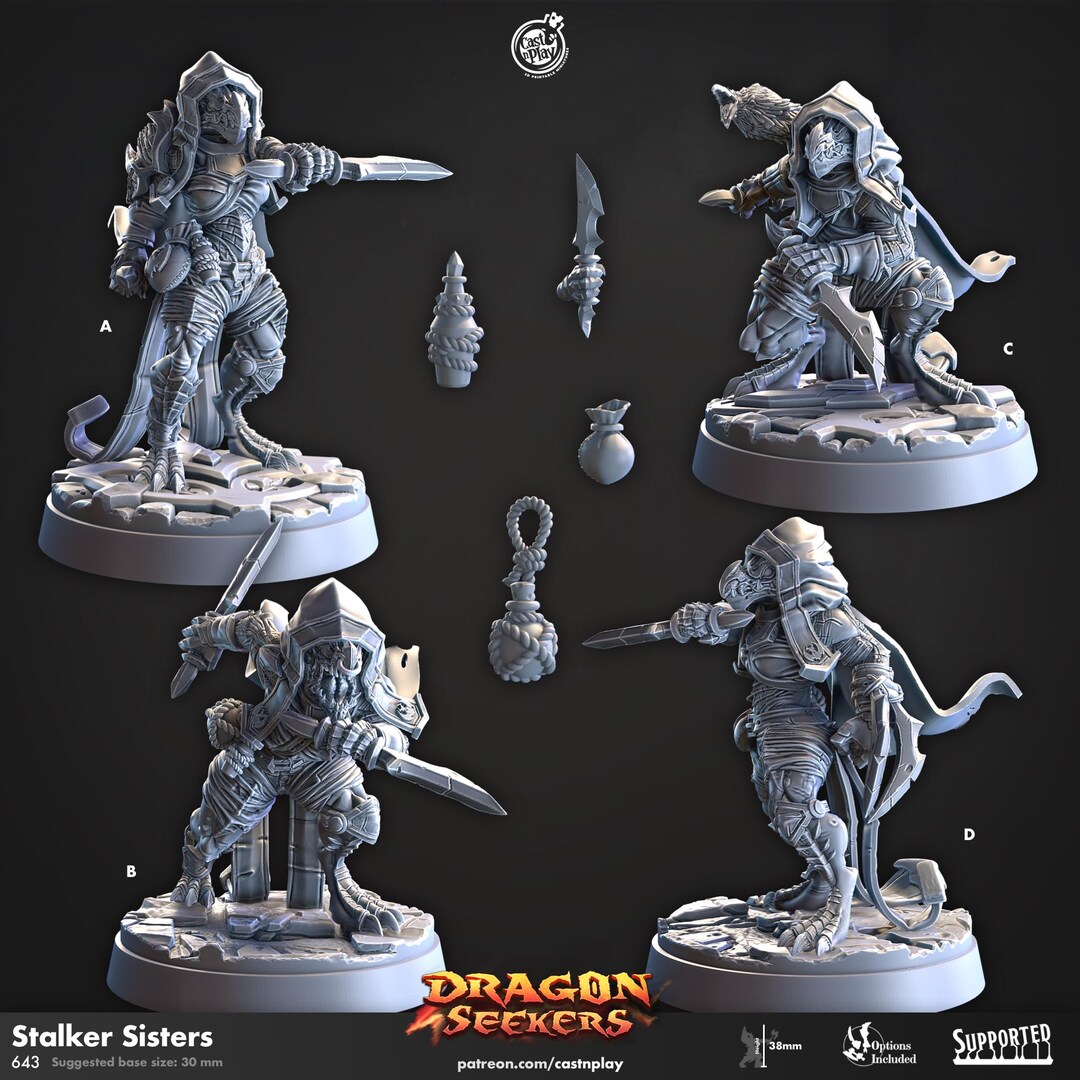 Dragonborn Rogue Miniature Thief Assassin Figurine Dungeons and Dragons ...