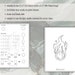 Dnd Spell Tracker Dnd Accessories D&D Character Sheet Dungeons and ...