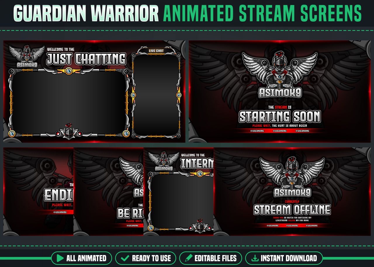 Guardian Warrior Stream Overlay Package Thematic Overlay Overlay for ...