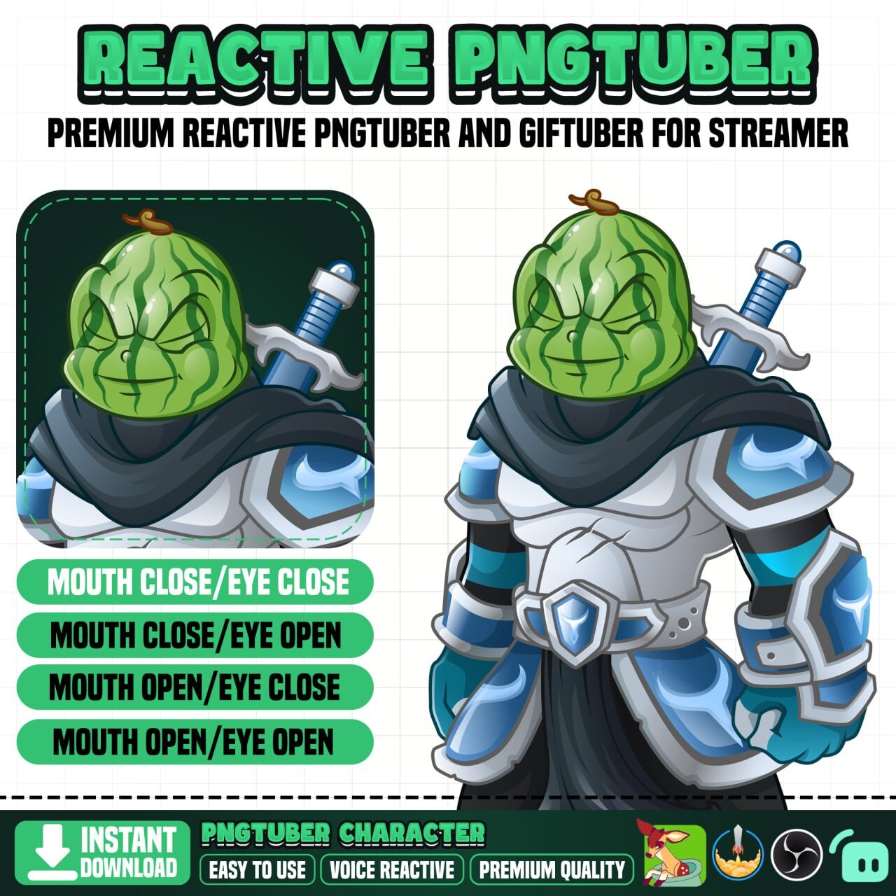 Pngtuber Water Melon Knight Premade Pngtuber Thematic Pngtuber Pngtuber for Twitch/ Youtube ...