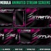 PINK Clean Overlay Pack for Twitch, Youtube Pink Overlay Stream Package ...