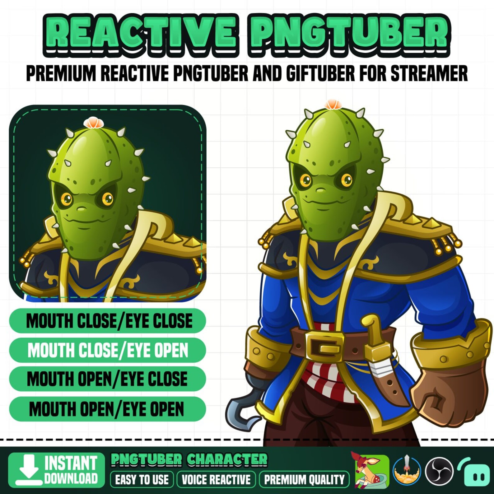 Cactus Pirate Pngtuber Premade Pngtuber Thematic Pngtuber Plant Pngtuber for Twitch/ Youtube ...