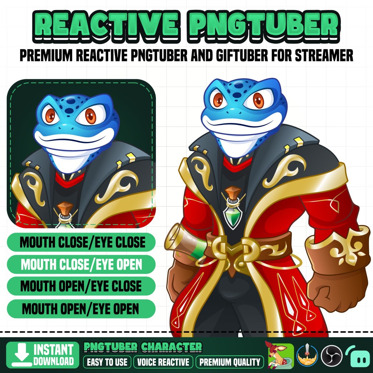 Pngtuber Wizard Gecko Premade Pngtuber Animal Pngtuber for Twitch ...