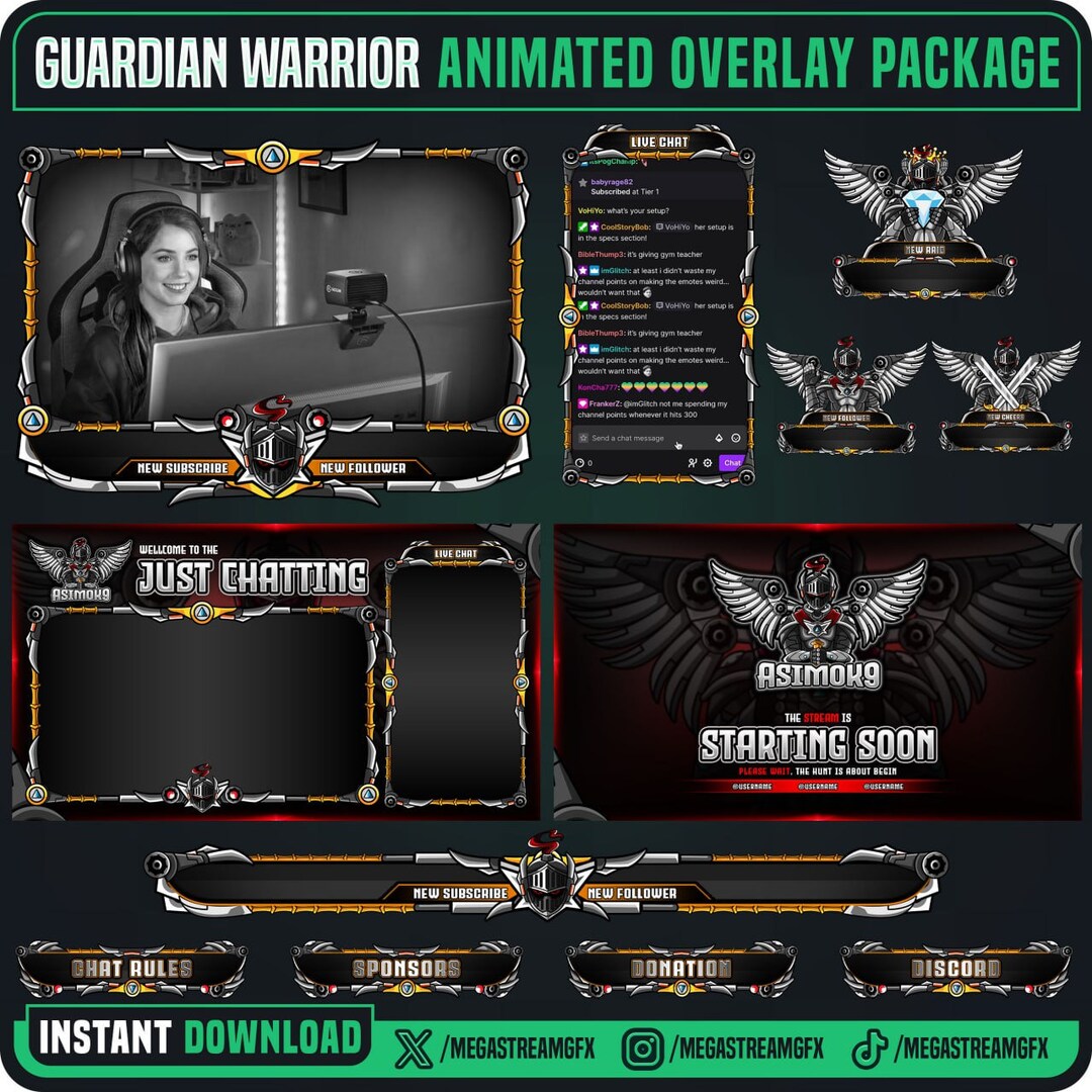 Guardian Warrior Stream Overlay Package Thematic Overlay Overlay for ...