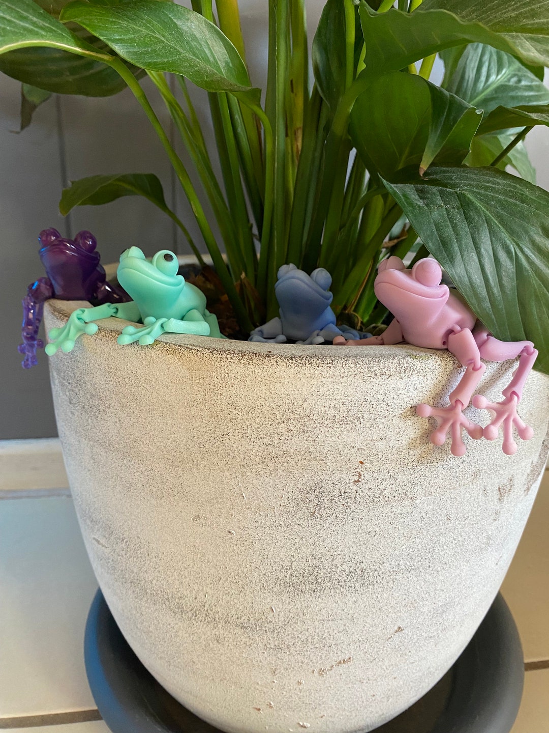 Articulated Frog Fidget Toy Various Colours and Sizes to Choose From - Etsy