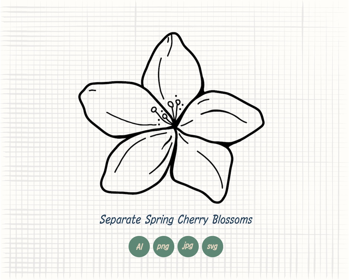 Hand Drawn Cherry Blossom Line Art Svg Minimalist Svg Botanical Line ...