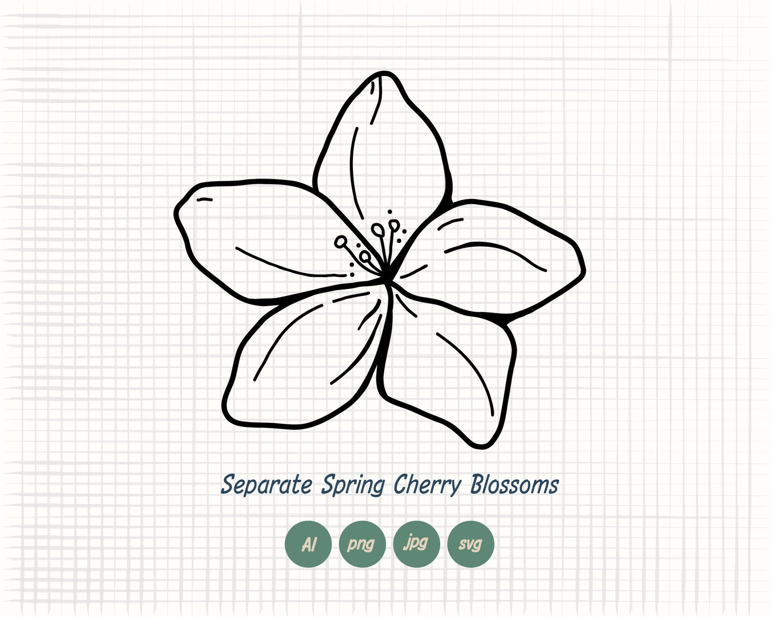 Hand Drawn Cherry Blossom Line Art Svg Minimalist Svg Botanical Line ...