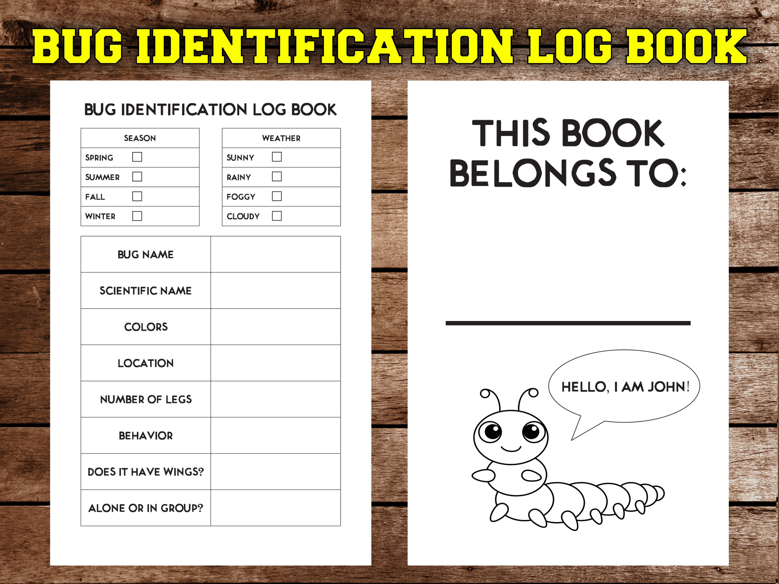 Bug Identification Log Book for Kids | Amazon KDP Interior | PDF File ...