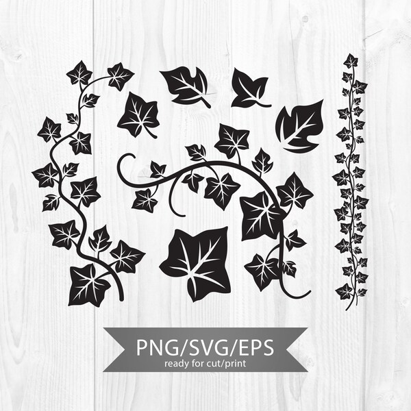 Ivy Leaf - Etsy