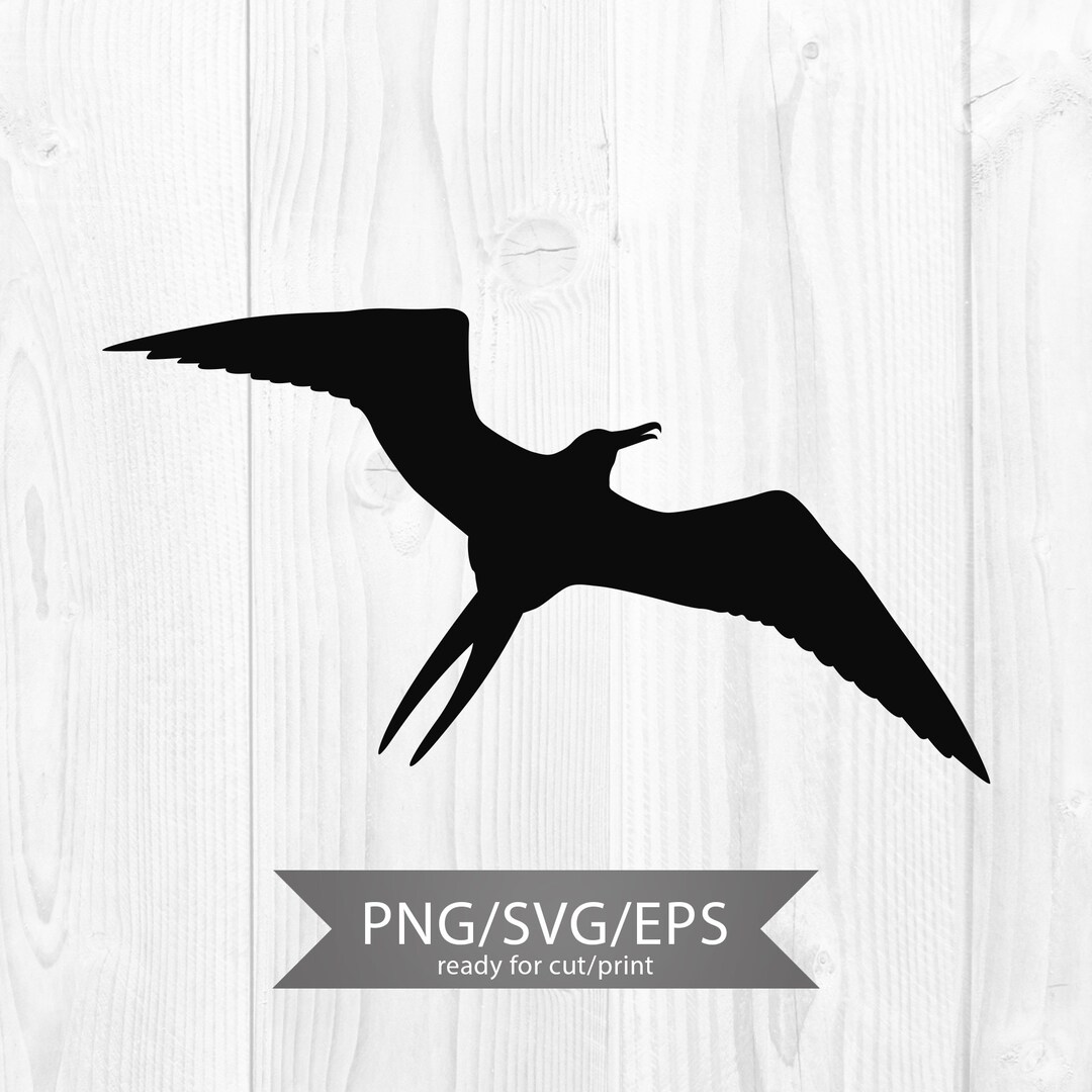 Frigate Bird Svg, Frigate Bird Png, Cricut File, Vector Image - Etsy ...