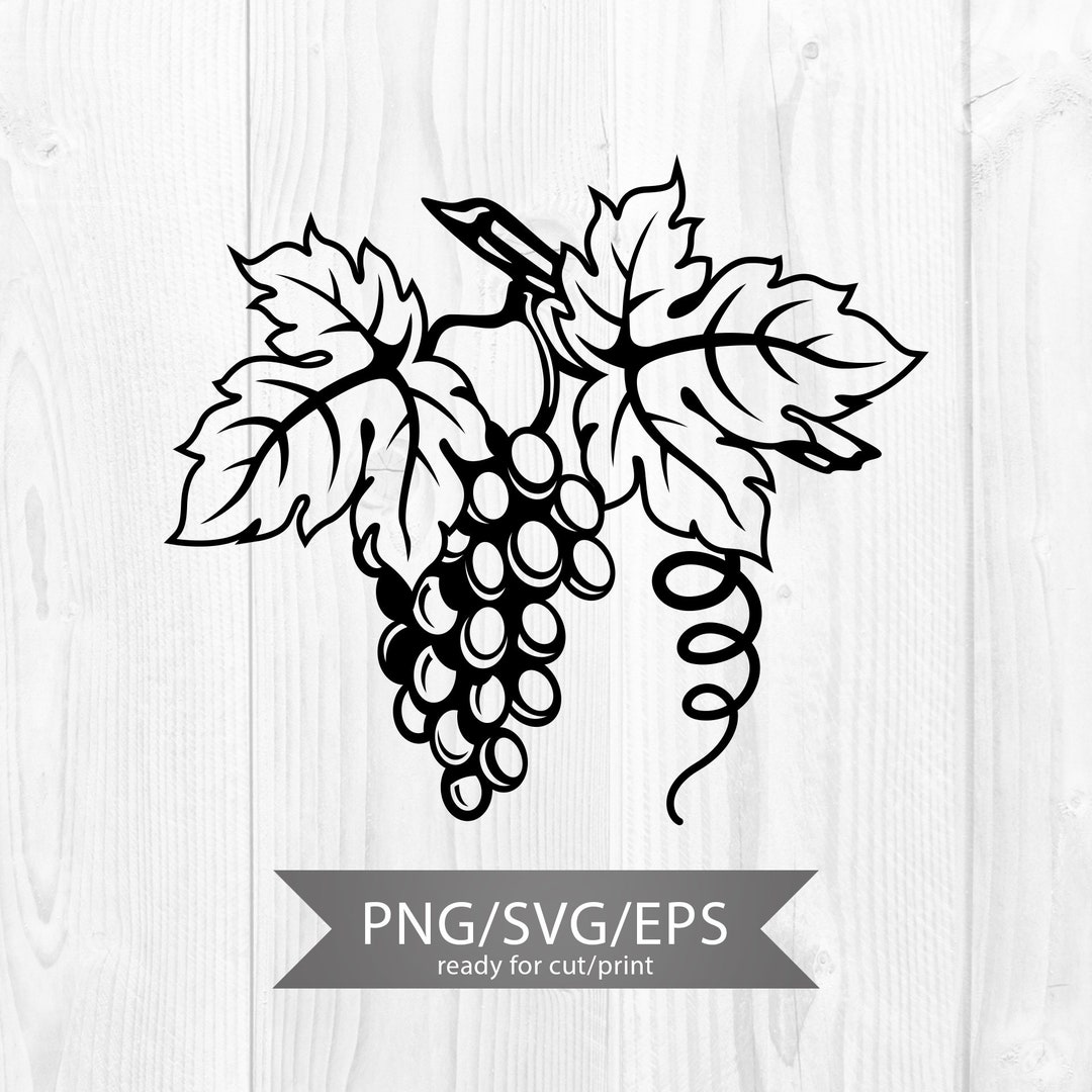 Grape Svg, Vector Image Svg, Grape Png, Cricut File - Etsy Canada
