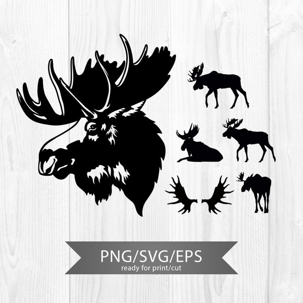 Moose Svg - Etsy