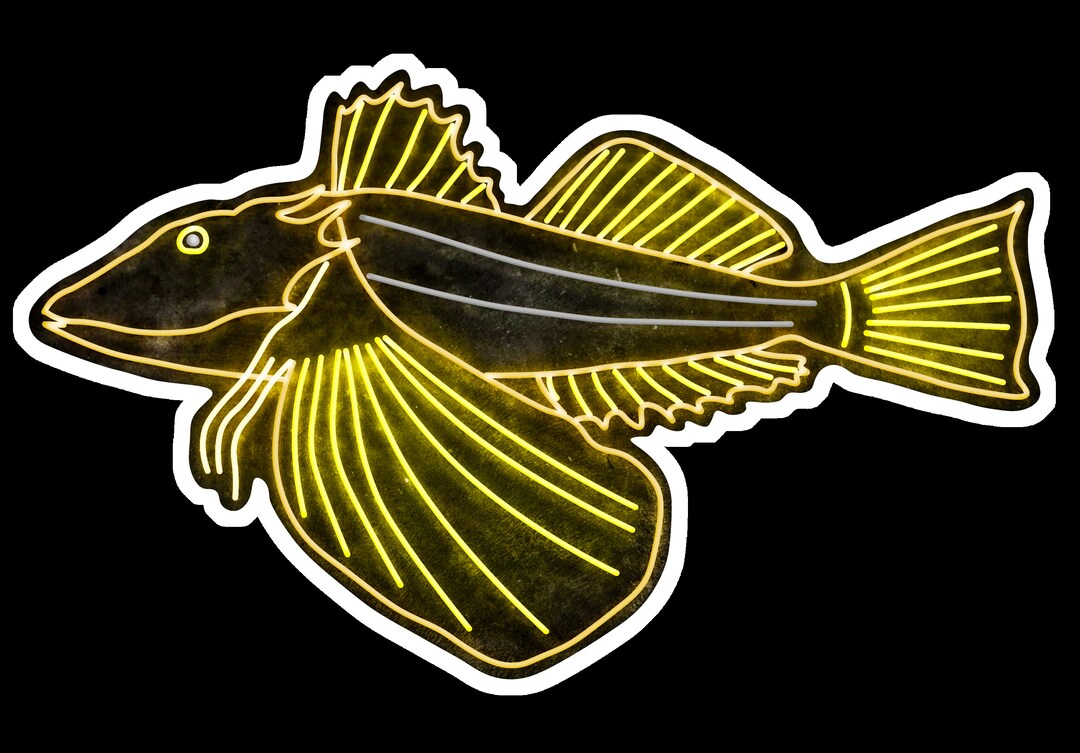 Striped Sea Robin Neon Sticker - Etsy