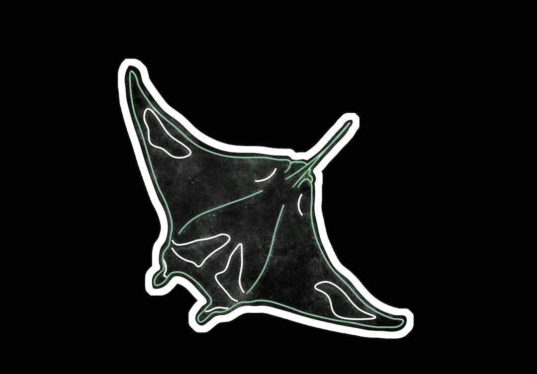 Manta Ray Neon Design Sticker - Etsy