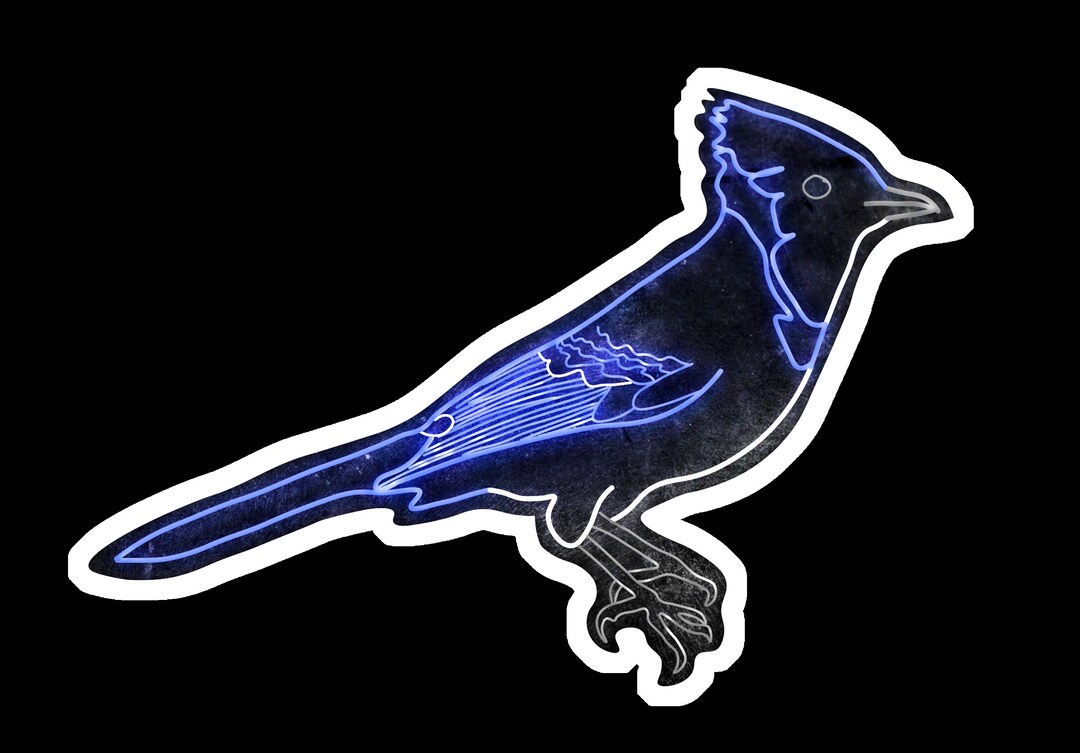 Blue Jay Neon Design Sticker - Etsy