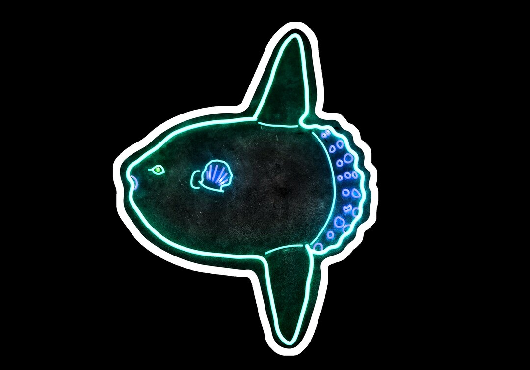 Mola Mola Ocean Sunfish Neon Design Sticker - Etsy