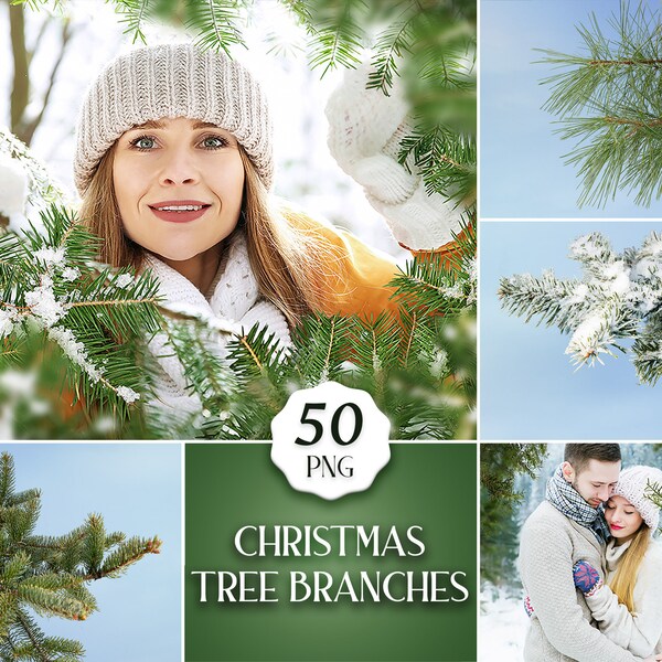 Evergreen Branch - Etsy