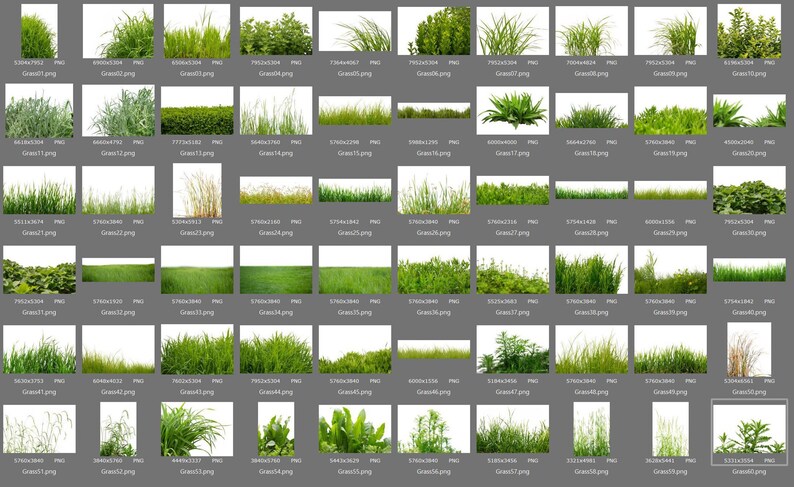 60 Grass Overlays Green Grass Photoshop Textures Summer - Etsy