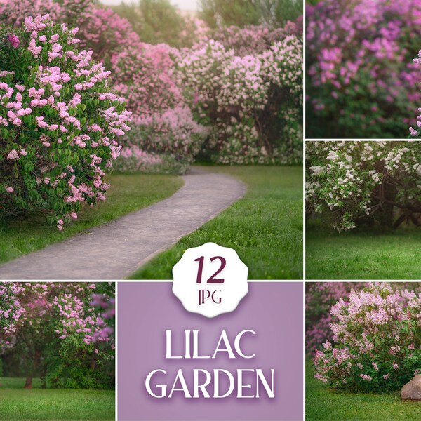 Summer Digital Backgrounds - Etsy