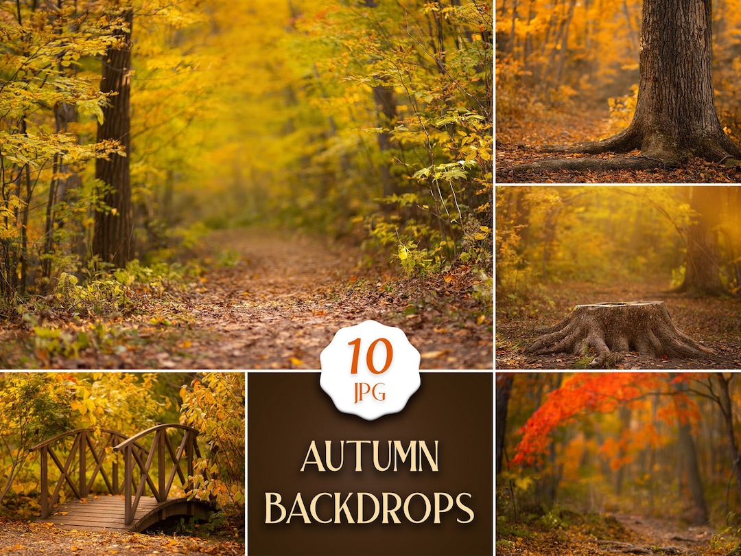 10 Autumn Backdrops, Digital Photo Backgrounds for Photoshop Trees ...