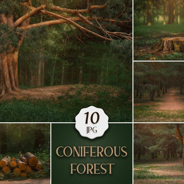 Forest Backdrop - Etsy